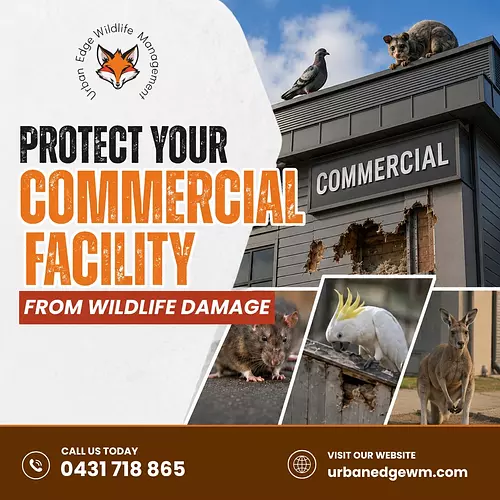 Urban Edge Wildlife Management, Rockingham | Reviews | Word of Mouth